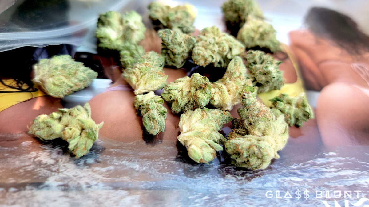 Blueberry Skittles Cannabis Strain Review - Glassblunt